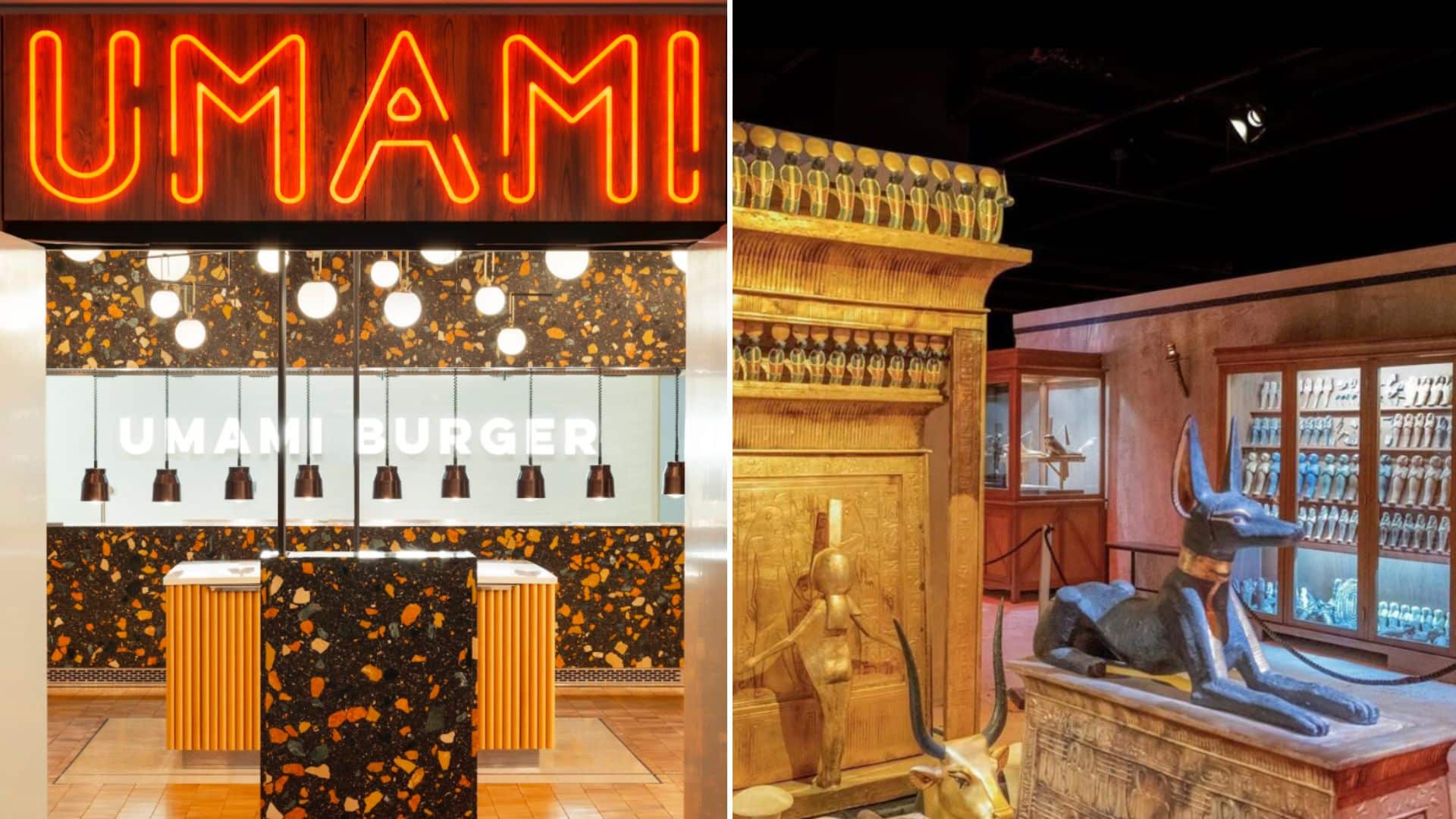 Umami Burger et Toutânkhamon l’Expérience Immersive s’associent pour ...