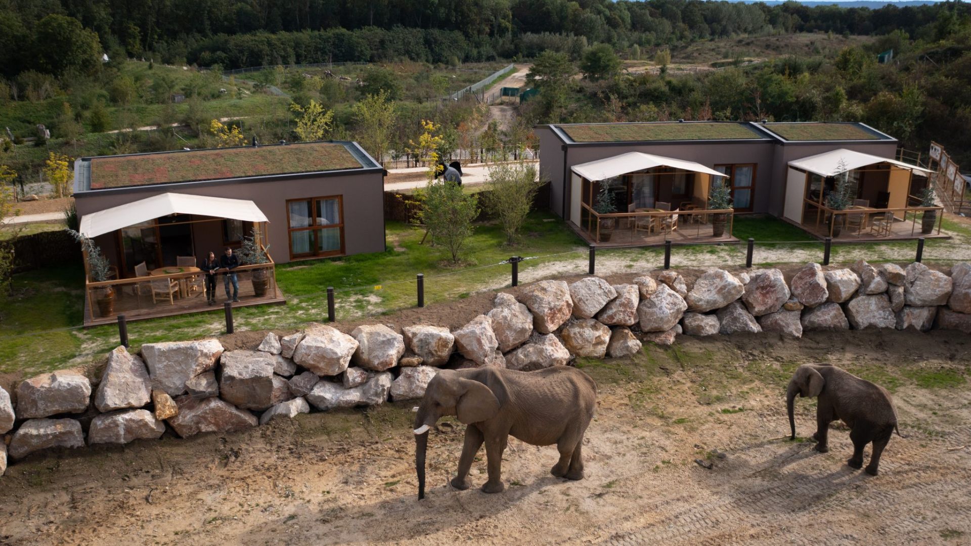 Thoiry accueille son 4ᵉ éléphant et propose une expérience immersive ...