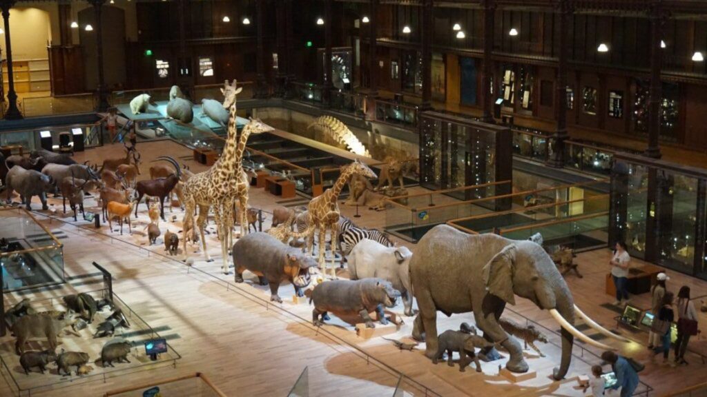 Découvrez la Grande Galerie de l'Évolution dans le 5ème Arrondissement ...