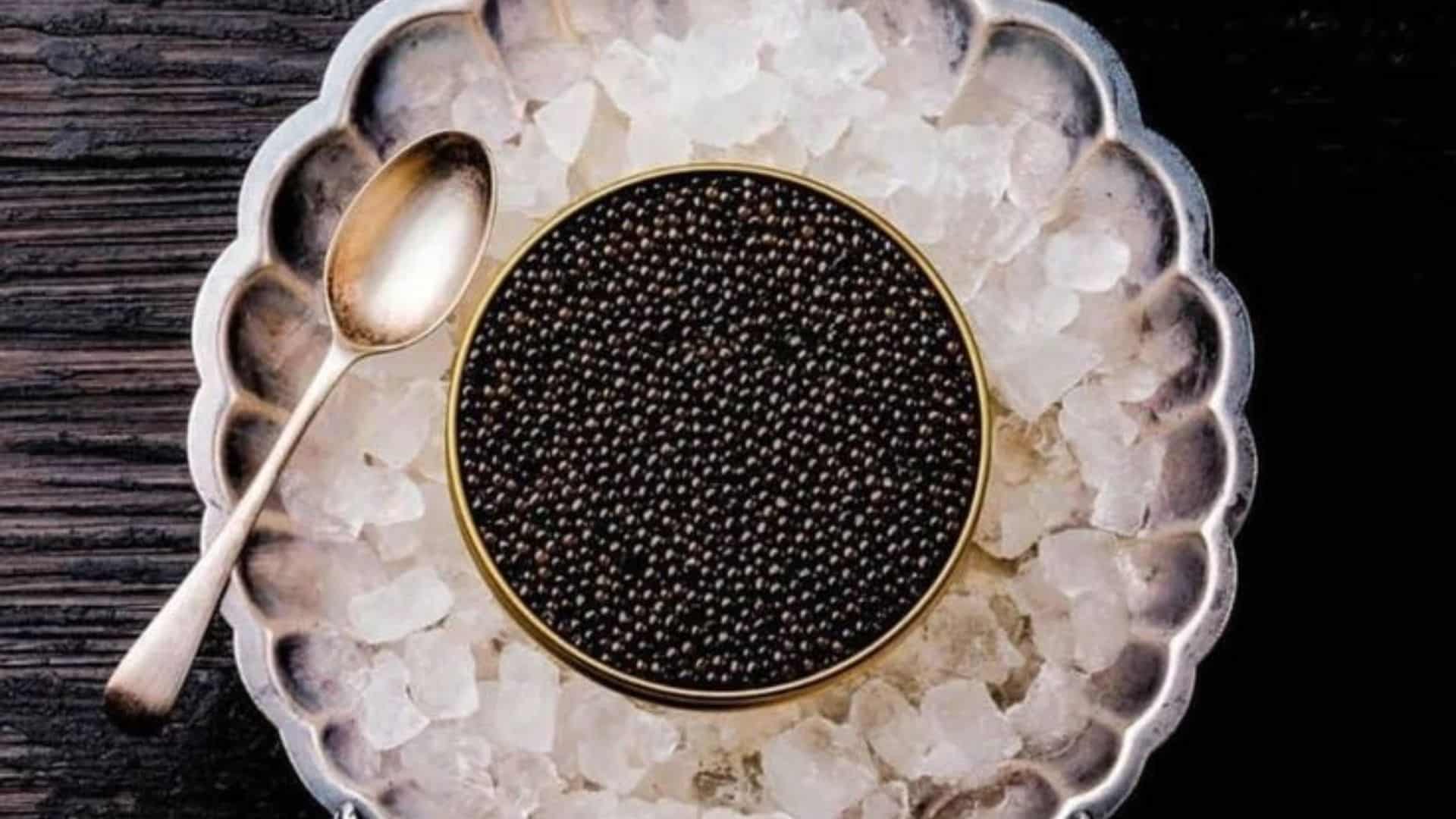 Our best places to eat caviar in Paris