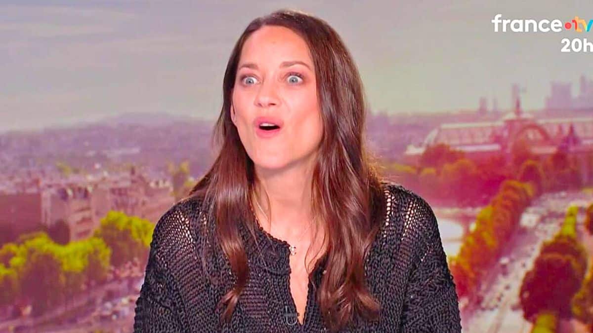 Marion Cotillard talks about her former apartment in an 18-storey tower ...