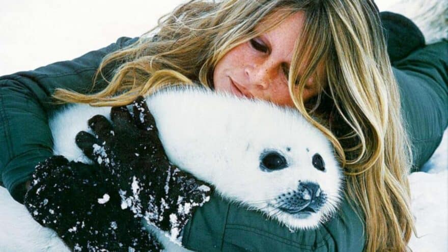 Brigitte Bardot, a star's journey from Paris to Saint-Tropez