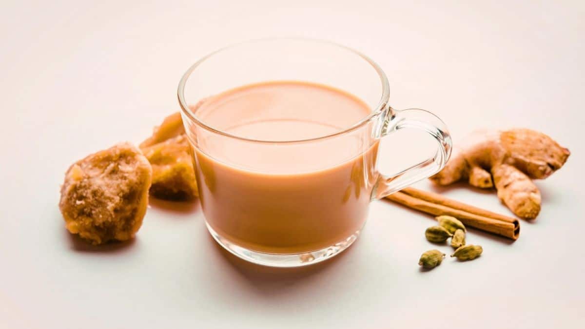 Prada Beauty launches a sandalwood chai latte fragrance in 2026 to ...