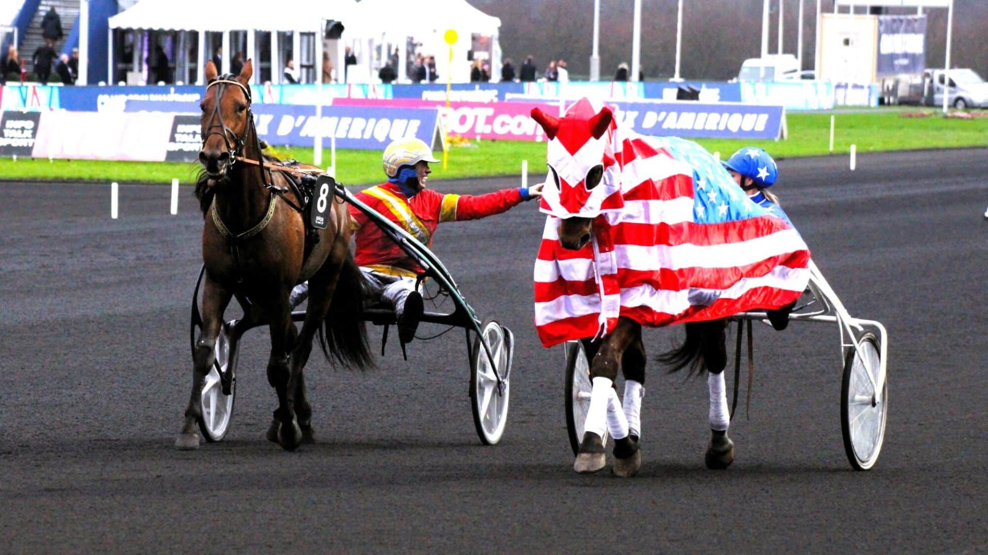 Prix d'Amérique 2026: a legendary weekend of racing, spectacle and ...